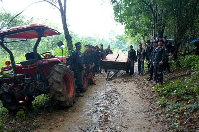 77kaoded | แฉขบวนการตัด-ทำไม้ป่าดงคล้อฯน้ำหนาวยังไม่หยุด ฉวยโอกาสช่วงหน้าฝนลอบตัดไม้ชิงชัน-มะค่า ...