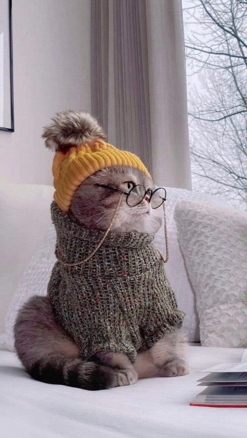 🌈慢慢變老女同拉拉40/50up抒發工作情緒🏳️‍🌈一同去旅行🌈越老越是寶