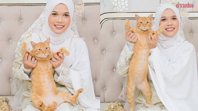 แขกพิเศษ! ทาสอุ้มเหมียวถ่ายรูปแต่งงาน ด้านเหมียวทำหน้าตาสุดอึน คนแห่เอ็นดู | Khaosod | LINE TODAY