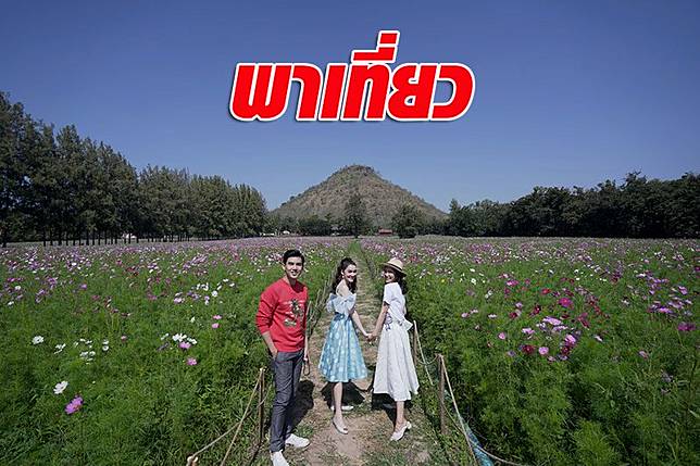 Khaosod | ปักหมุดท่องเที่ยวช่วงวันหยุดยาว ชมสีสันทุ่งดอกไม้งามที่จิมทอมป์สันฟาร์ม