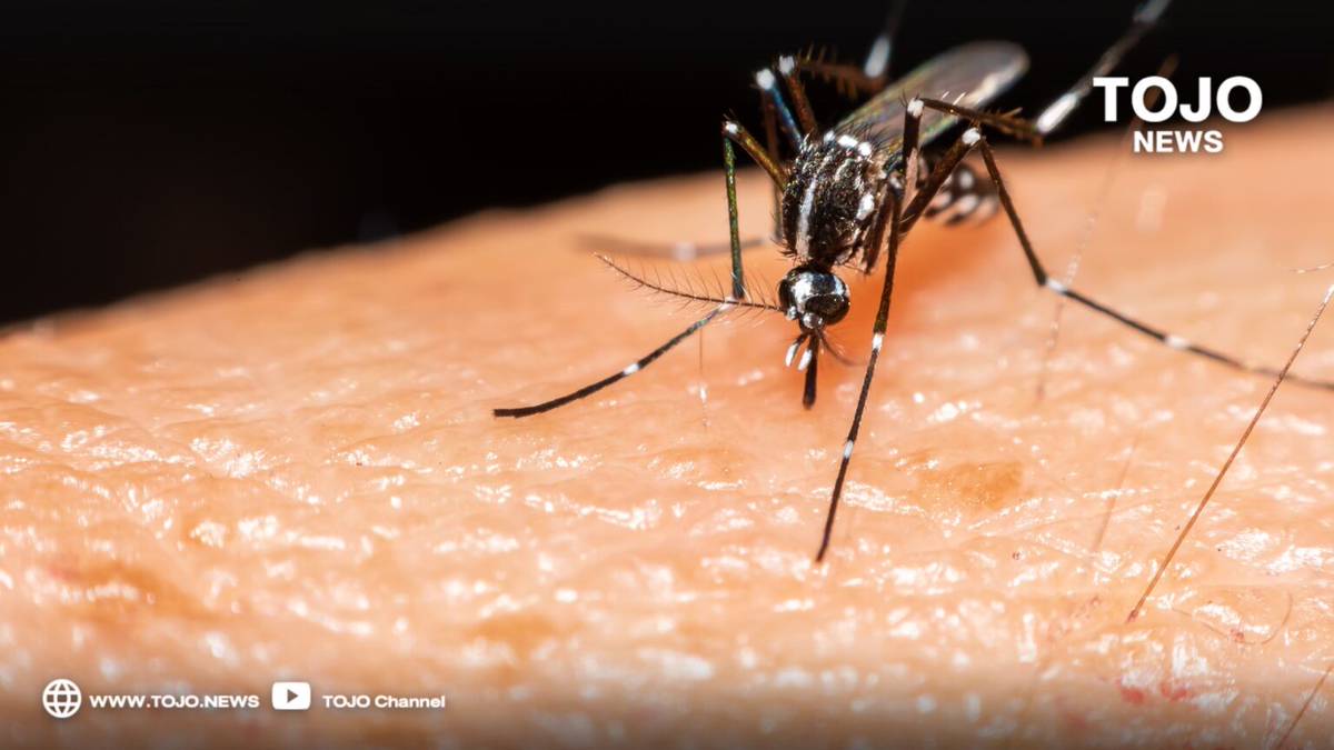Protect Yourself from Mosquito Bites: A Doctor's Story of Surviving ...