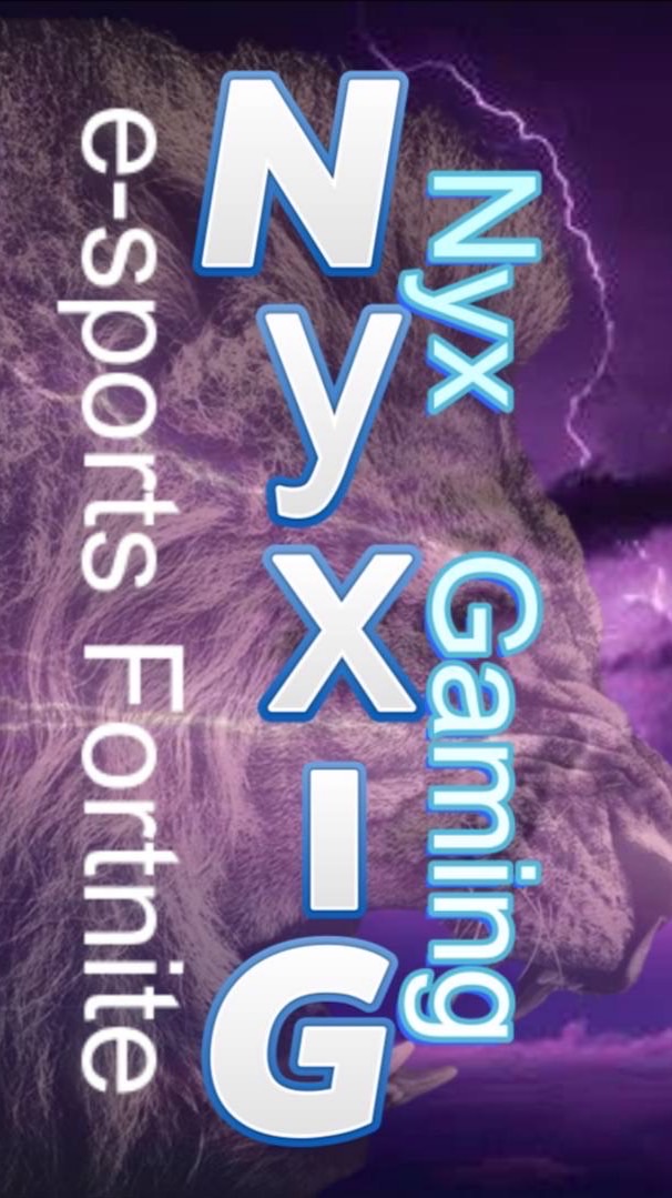 NYX Gaming e-sports Fortnite底抜け