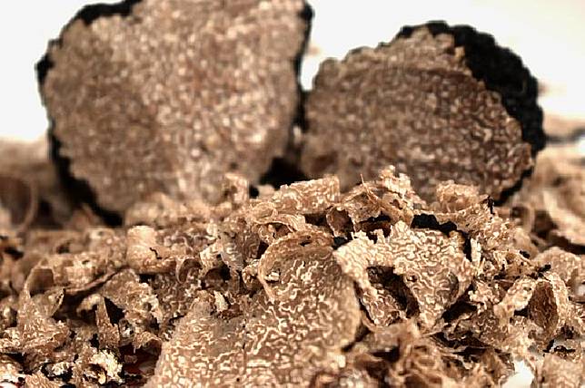 Jamur Truffle Dikenal Mahal, Ini 4 Manfaat Kesehatan untuk Tubuh