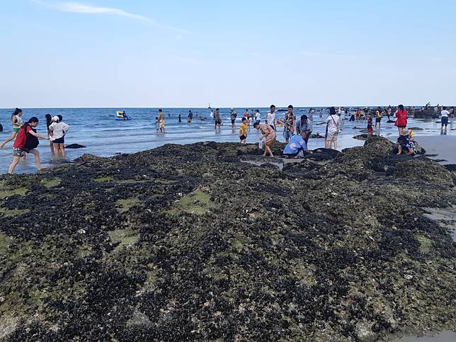 77kaoded | ตื่นตา!!โขดหินหลายร้อยก้อนโผล่ ทั้งหอยแมลงภู่ หอยนางรม นทท.แห่ชม