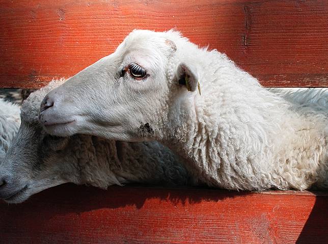 關於保暖，我們還有其他選擇：WOOCOA以椰子殼、大麻纖維取代羊毛 | This Moment | LINE TODAY