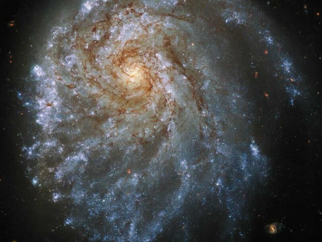 星を撒き散らす様な歪んだ銀河「NGC 2276」の姿（sorae 宇宙へのポータルサイト）