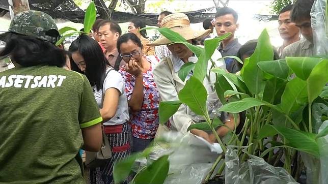 77kaoded | งานเกษตรกำแพงแสน ครั้งที่ 23 " ตามรอยพ่อ สานต่อศาสตร์แห่งแผ่นดิน"