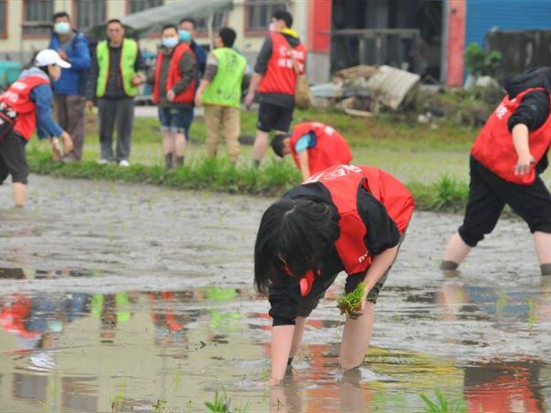 微星拚永續百名員工挺小農 千家供應商導入綠色產品管理平台 | 太報 | LINE TODAY