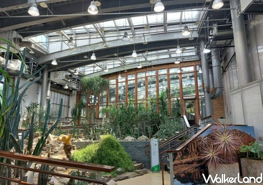 竟然在中山區！免費森林系景點「台北典藏植物園」搶打卡，不用日曬雨淋「室內森林玻璃屋」台北人沒去過太遜。 | WalkerLand 窩客島 | LINE TODAY