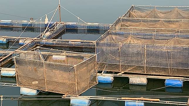 77kaoded | หนองคาย น้ำโขงลดกระทบปลากระชัง