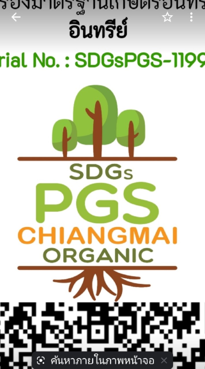 SDGsPGS chiang mai รวมทุกรุ่น
