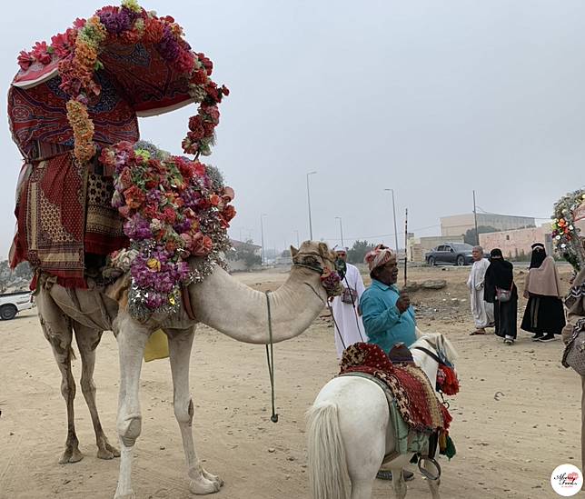 Akeru Feed | พาเที่ยว " Taif (ทาอีฟ)" เมืองหนาวของประเทศซาอุดิอาราเบีย มีดียังไง!!"