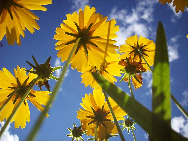 Akeru Feed | 10 เทคนิคเปลี่ยนภาพถ่ายน่าเบื่อ.. ให้คูลแบบสุดๆ!!