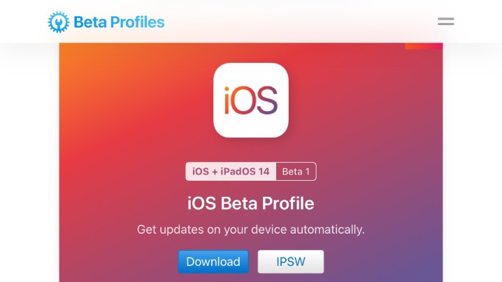 不怕當白老鼠？教你簡單試用 iOS 14 Developer Beta 版 - LINE購物