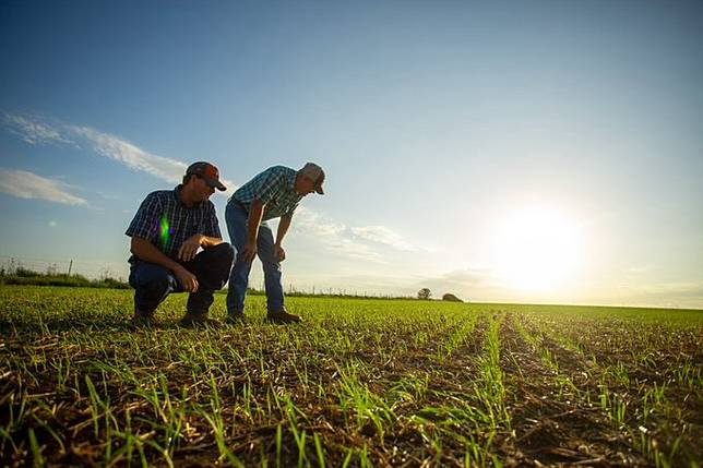 《農產品》憂旱情持續 CBOT小麥、黃豆上揚 | MoneyDJ理財網 | LINE TODAY