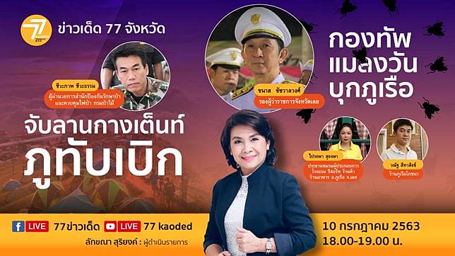 จับลานกางเต็นท์ภูทับเบิก " กองทัพแมลงวันบุกภูเรือ | 77kaoded | LINE TODAY