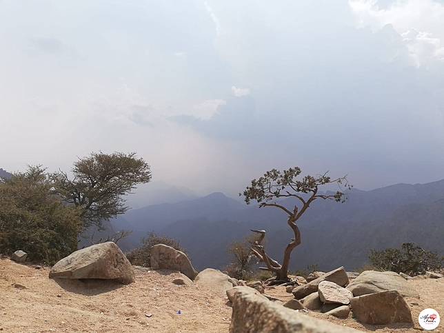 Akeru Feed | พาเที่ยว " Taif (ทาอีฟ)" เมืองหนาวของประเทศซาอุดิอาราเบีย มีดียังไง!!"