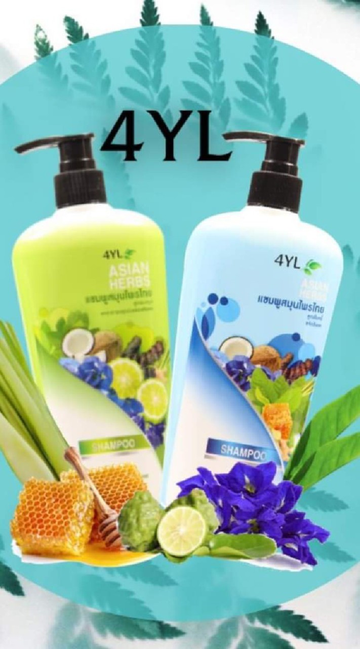 ตัวแทนแชมพู4Yl