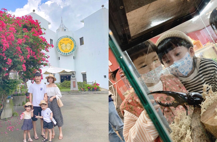 埔里木生昆蟲博物館｜蝴蝶小鎮生態休閒園區｜園區導覽解說、世界珍藏標本、DIY體驗 - 好好玩 FUNIT 2023 - LINE旅遊