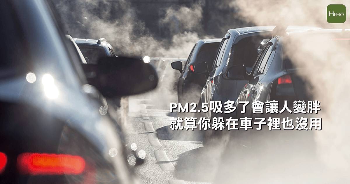 PM2.5吸多了會讓人變胖，就算你躲在車子裡也沒用 | Heho健康 | LINE TODAY
