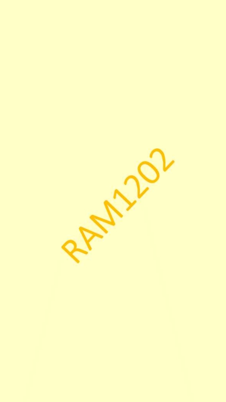 RAM1202