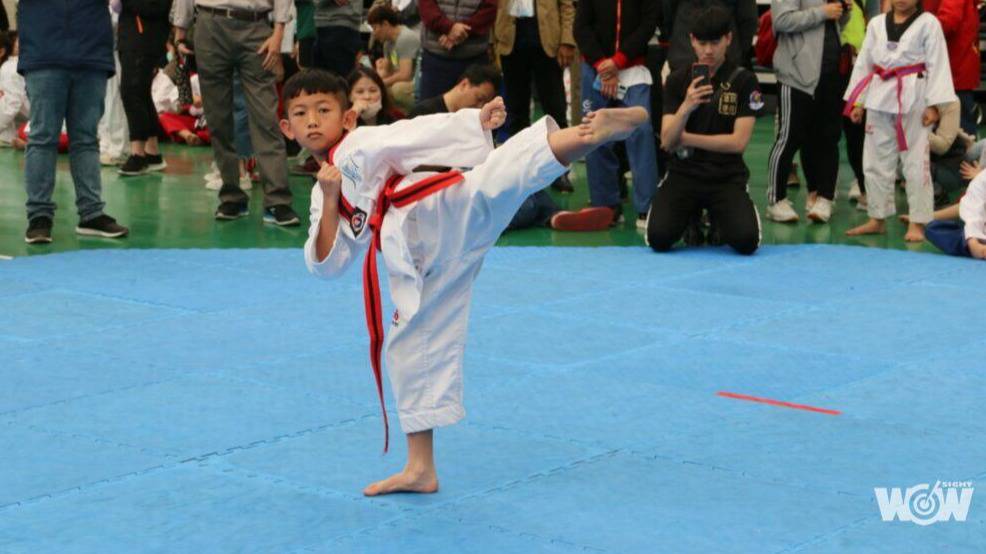 《品勢》最甜的賽事 草莓盃跆拳道品勢賽萌翻苗栗巨蛋 | WOWSight | LINE TODAY