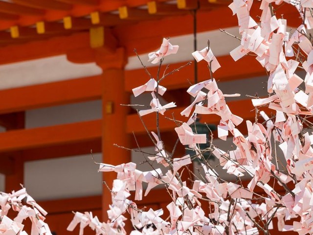 「おみくじ」は境内の木の枝に結んだほうがご利益があるのでしょうか？（家庭画報com）