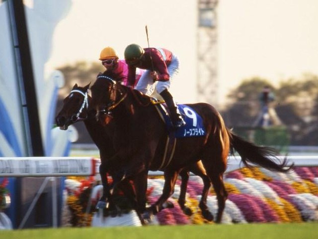 マイルGI・2勝の名牝ノースフライトが死去（netkeiba）