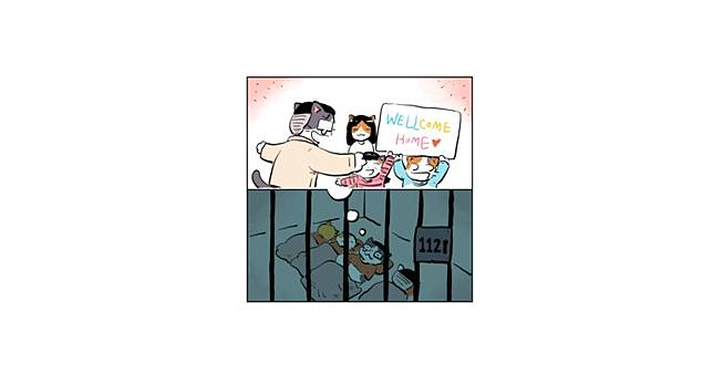 โรงเรียนแมวๆ : อยากกลับบ้าน😢 | The MATTER | LINE TODAY