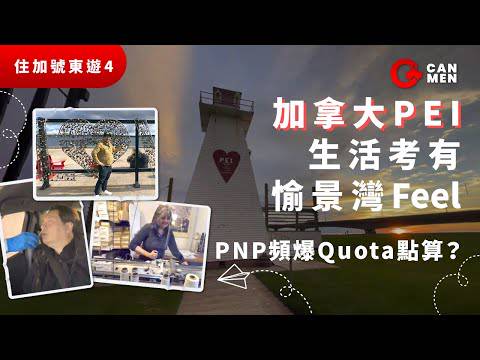加拿大生活 燈塔下的PEI考有愉景灣feel PNP移民頻爆quota點算? 帶睇MIC針織品 Wingo肥Sam即場撩鼻咩反應? 住加號東遊 ...