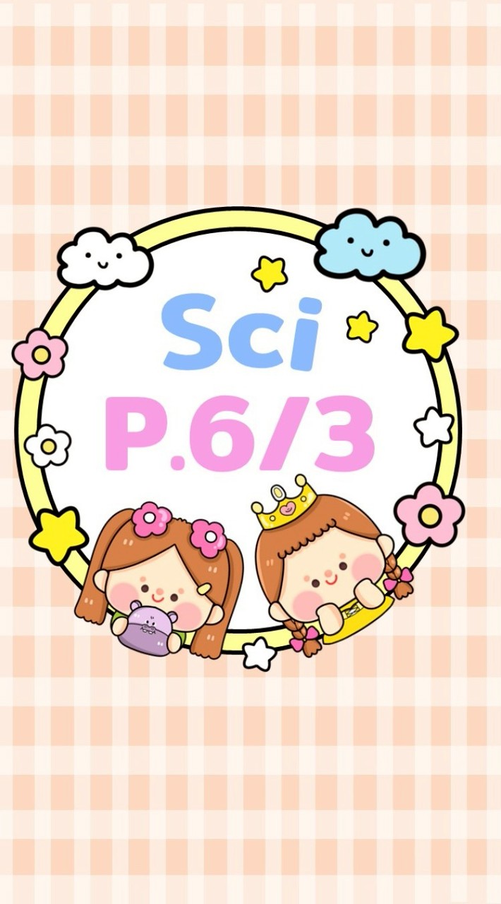 📚Sci_6/3