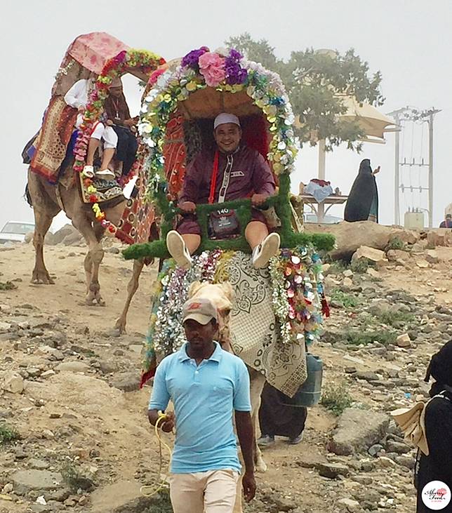 Akeru Feed | พาเที่ยว " Taif (ทาอีฟ)" เมืองหนาวของประเทศซาอุดิอาราเบีย มีดียังไง!!"