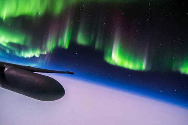 11 Foto Ini Ungkap Keindahan Dunia dari Sisi Berbeda, Termasuk Bunga ...