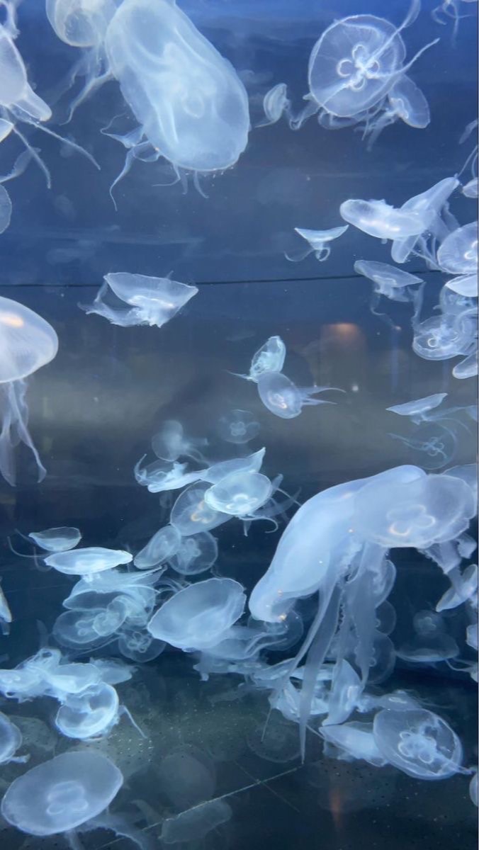 Group Tone by Patricia