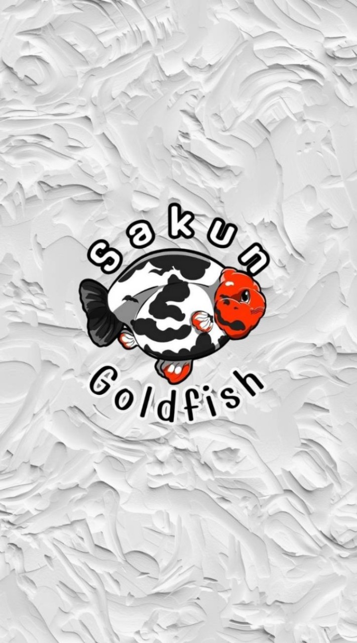 Sakun Goldfish (จำหน่าย ปลาทองไทย และนำเข้า)