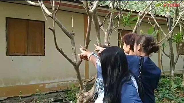 ผึ้งช่วยด้วย คนแห่กราบไหว้ มาทำรัง ไม่ทำร้ายใคร ขอเลขเด็ด อยากรวย | Khaosod | LINE TODAY