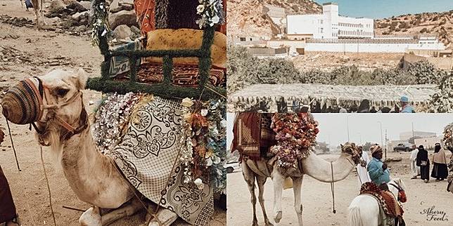 Akeru Feed | พาเที่ยว " Taif (ทาอีฟ)" เมืองหนาวของประเทศซาอุดิอาราเบีย มีดียังไง!!"