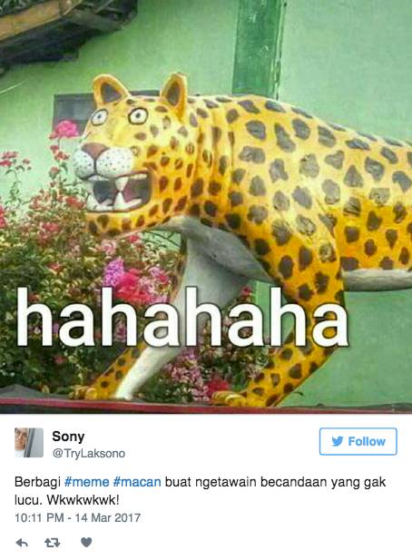 Memes Harimau Lucu