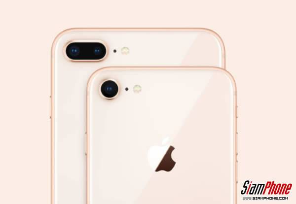 Siamphone | ส่องราคา iPhone 7, iPhone 7 Plus, iPhone 8, iPhone 8 Plus, iPhone X ซื้อที่ไหนลดเยอะ!