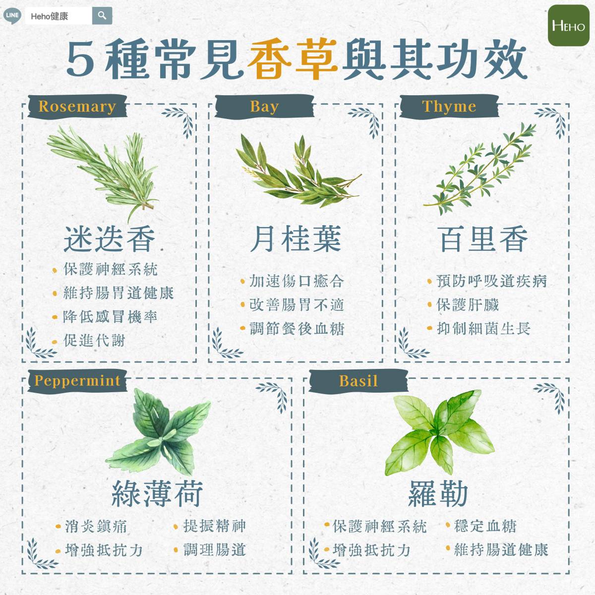 「香草之王」能穩定血糖、防便秘！一張圖了解5種香草功效 | Heho健康 | LINE TODAY