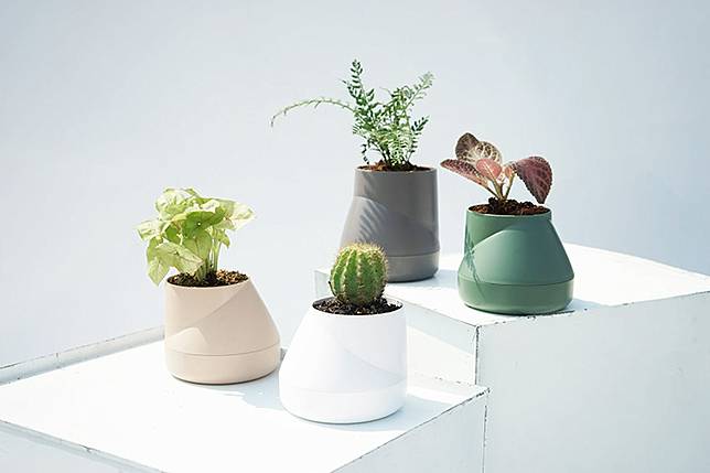 รักต้นไม้แต่ไม่มีเวลา กระถางต้นไม้รดน้ำเอง | @Kitchen Magazine | LINE TODAY