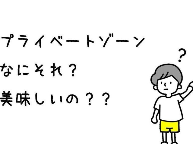 性教育教材 プライベートゾーン 映像: 性教育 プライベートゾーン 指導案 小学校 – VISHUJI