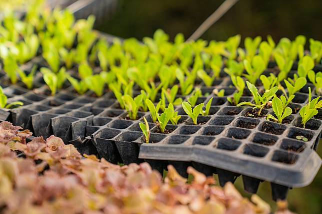 Prachachat | เซ็นทรัล ทำ " เพชรบูรณ์โมเดล" เชื่อมธุรกิจ-สังคม-สิ่งแวดล้อม สร้างคุณภาพชีวิตที่ยั่งยืน