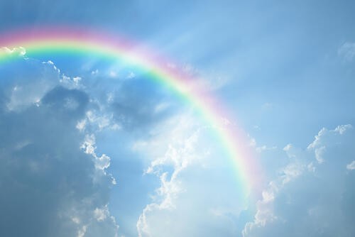 虹ができるのはなぜ？彩雲って知ってる？知っておいて損はない、光の自然現象（オリーブオイルをひとまわしニュース）