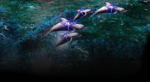 GamingDose | ชาวประมงนอร์เวย์ตะลึง เจอปลาโลสอดแนม คาด มาจาก Red Alert 2