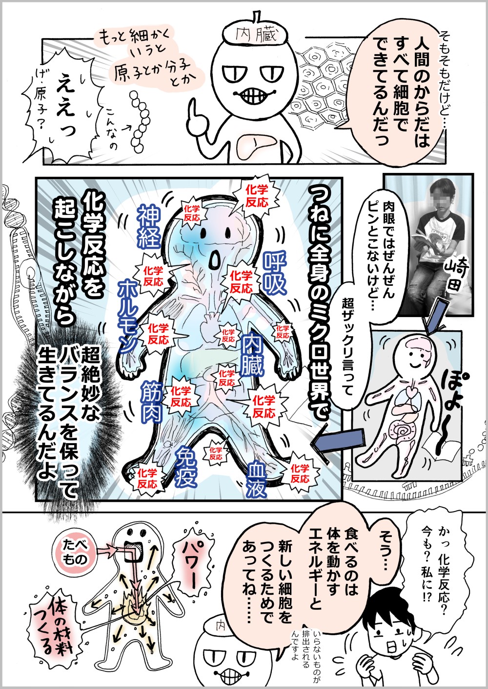 おやつ、食べ過ぎてない？…おいしくて疲れにくくなる「お助け間食」（ananweb）