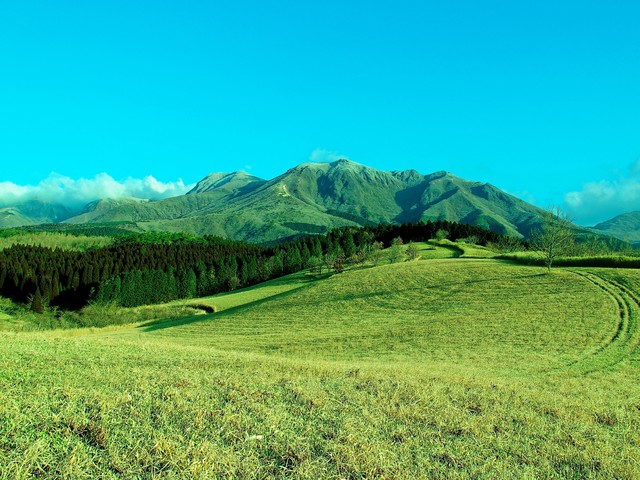 大分県のランニングコース4撰（RUNNET）