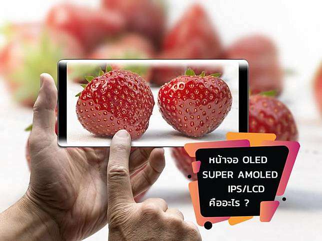 Siamphone | ทำความรู้จักประเภทหน้าจอ (OLED, SUPER AMOLED, IPS, TFT, LCD, LED)