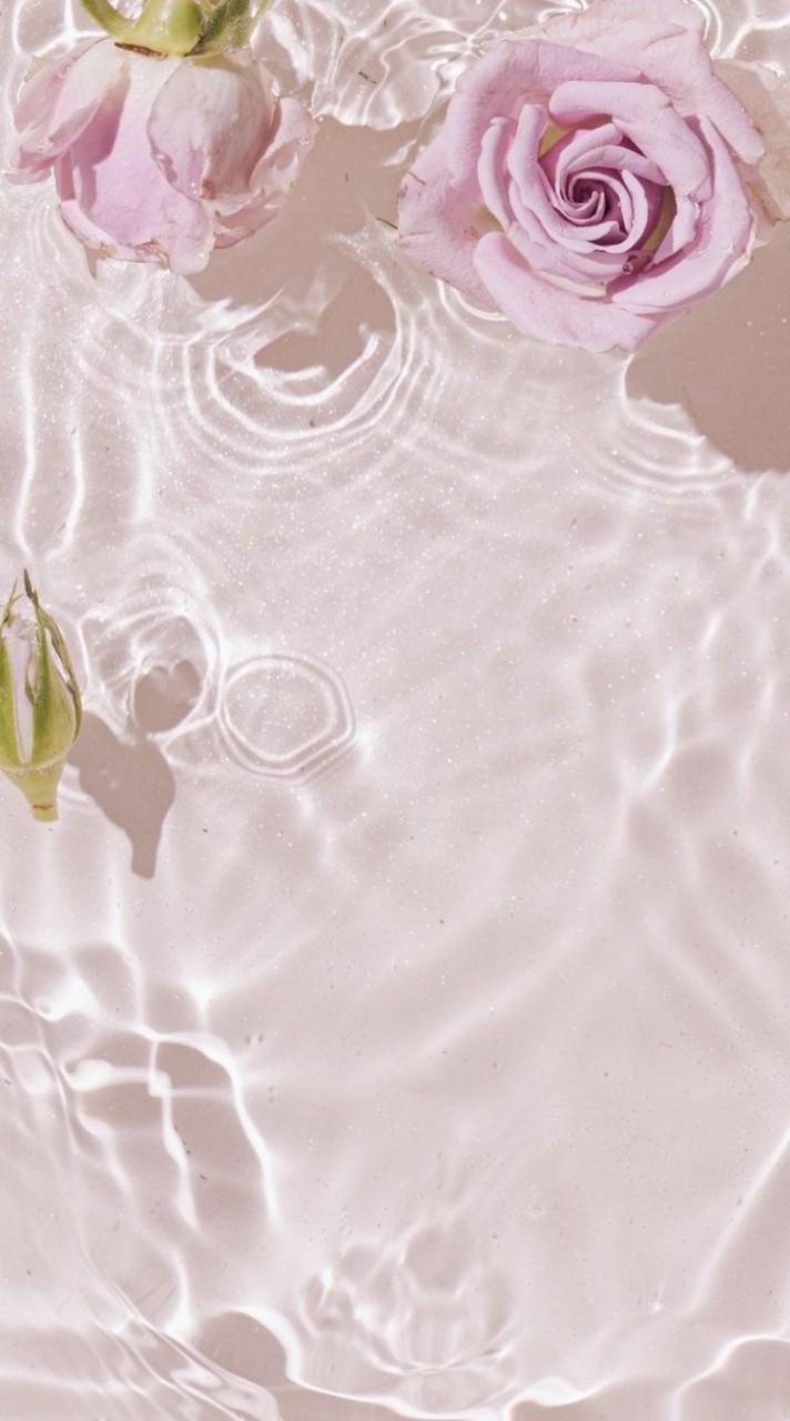 歌い手 実況者 nrkr 専用 宣伝