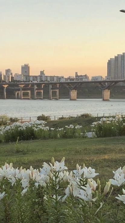 rov โรลเพลย์ 𓂃